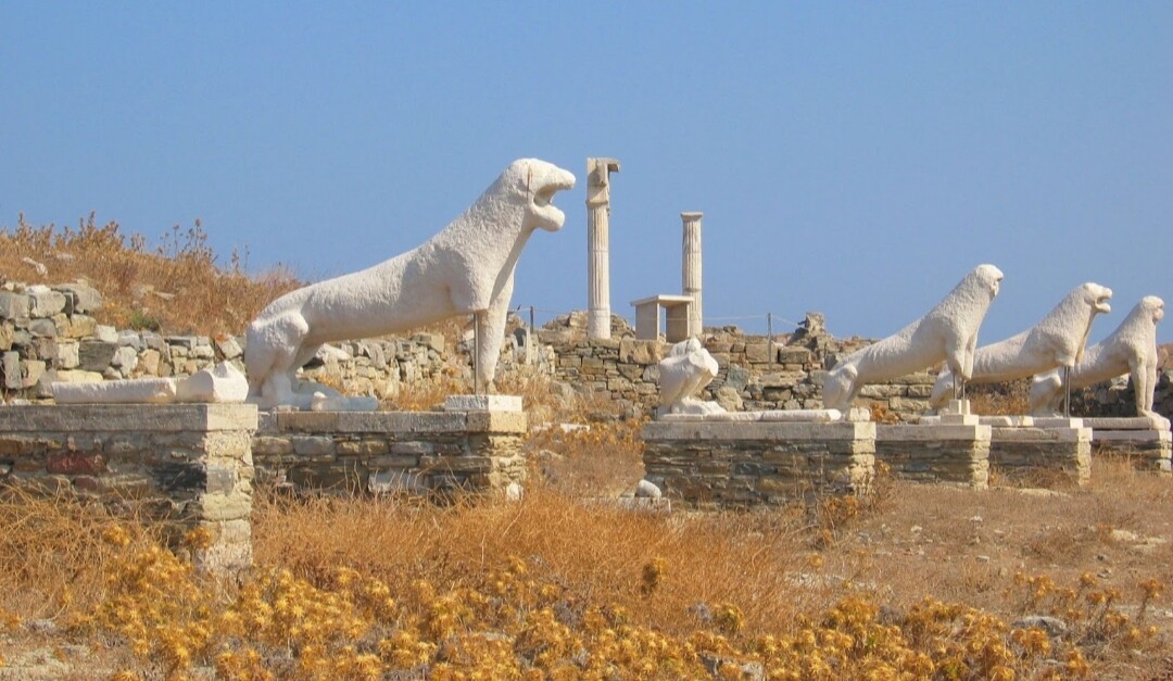Τα λιοντάρια της αρχαίας Ελλάδας: Υπήρχαν; γιατί εξαφανίστηκαν ...